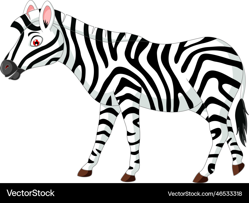 Zebra cartoon Royalty Free Vector Image - VectorStock