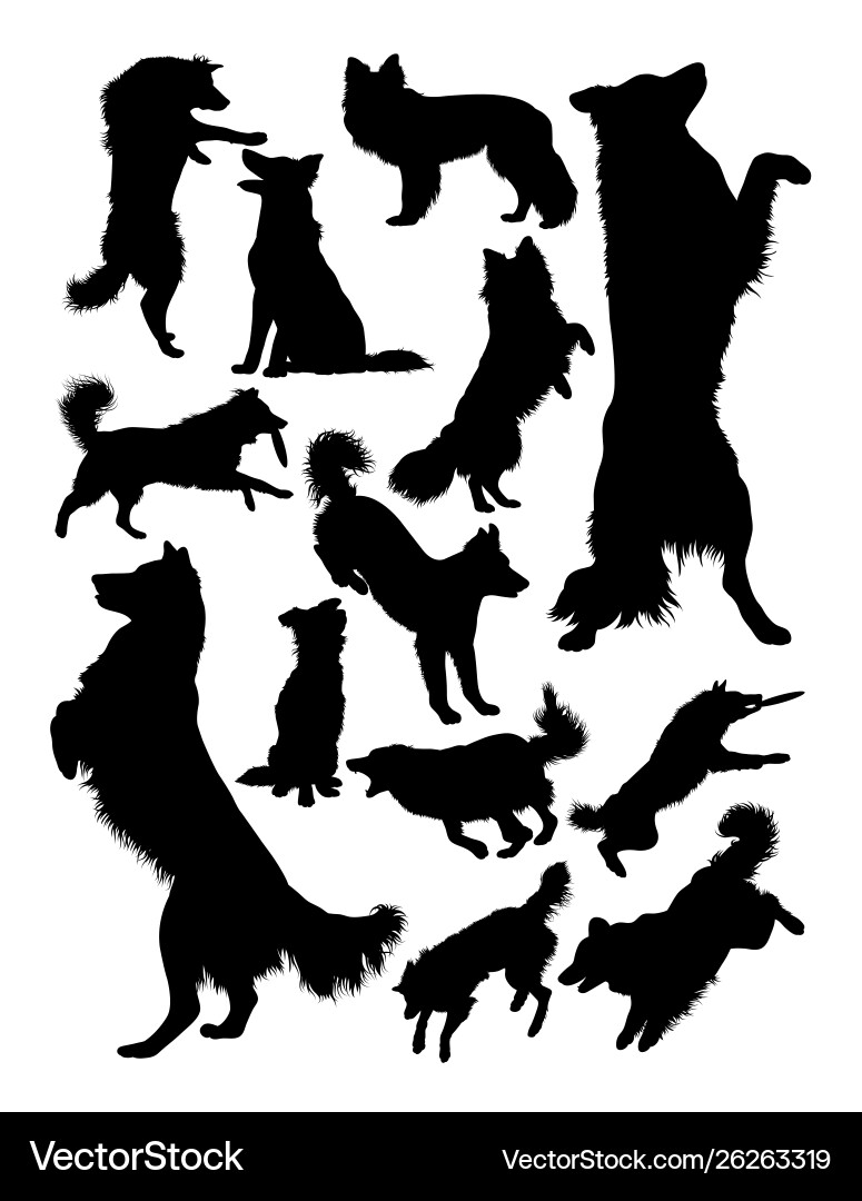 Agility Dog Silhouette Vector Images (over 1,000)