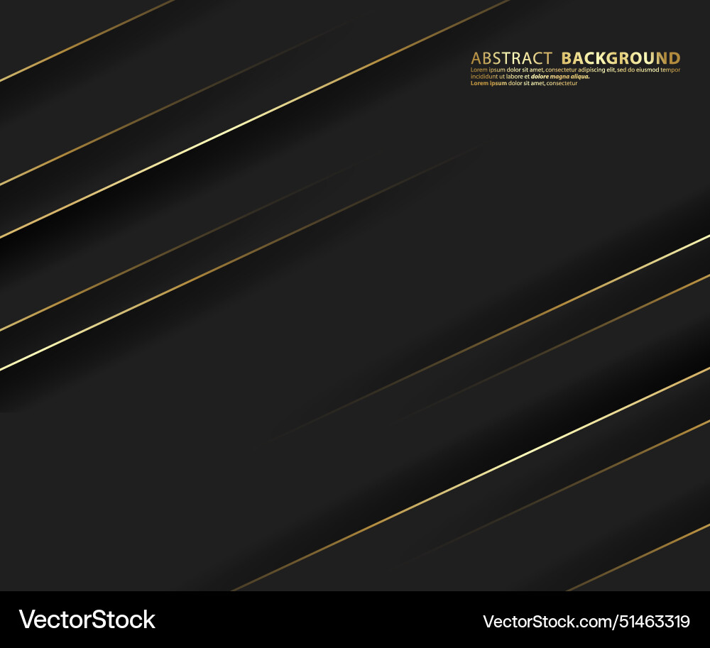 Premium background abstract luxury pattern gold Vector Image