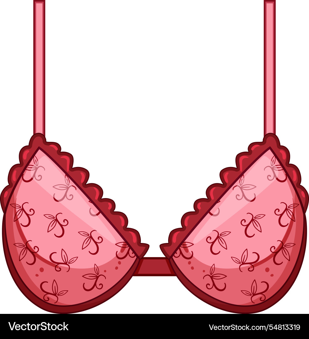 Undergarment bra lace cartoon Royalty Free Vector Image