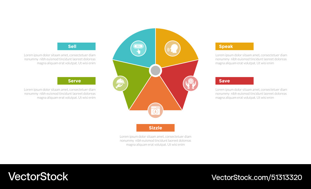 5s model marketing infographics template diagram Vector Image