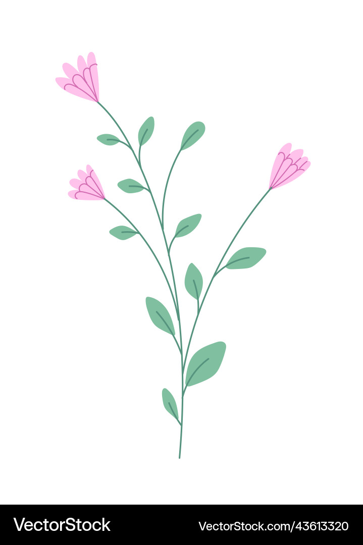 Flower with blooming bud Royalty Free Vector Image