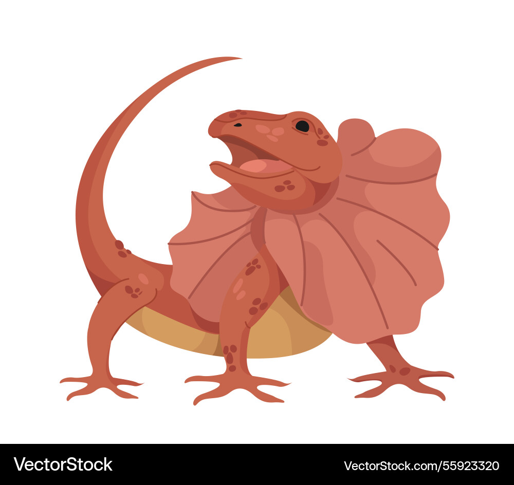 Frilled lizard Royalty Free Vector Image - VectorStock