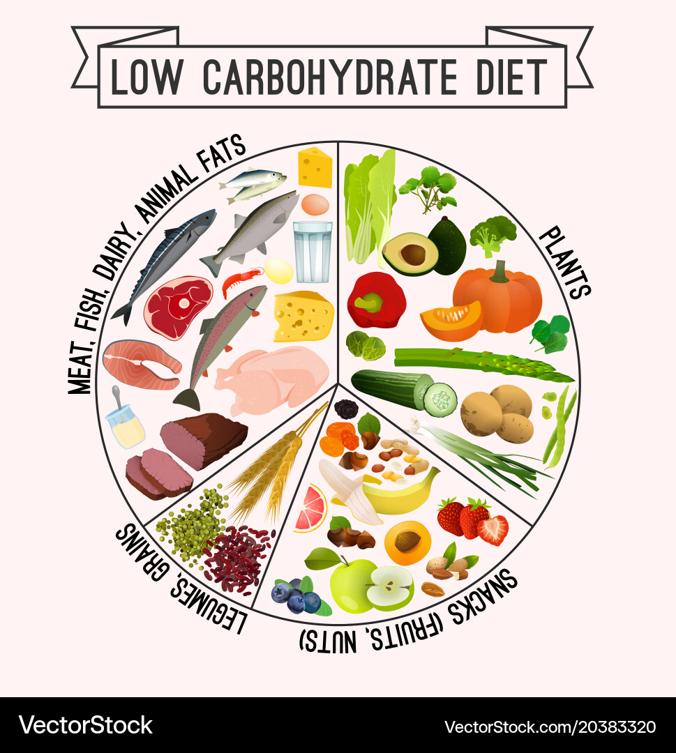 Healthy Low Carb Diet Poster – Royalty-Free Vector | VectorStock