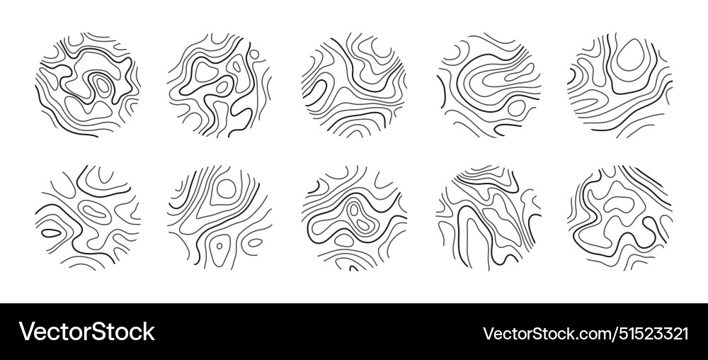 Circular wood rings or topographic map lines Vector Image