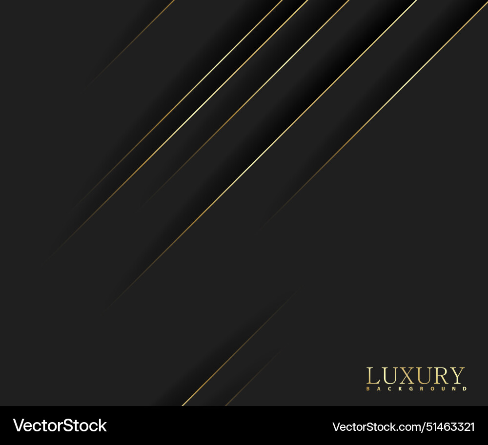 Premium background abstract luxury pattern gold Vector Image