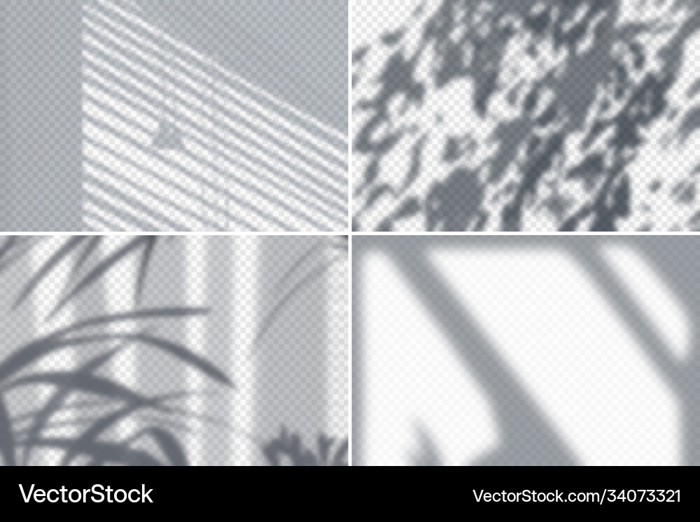 Realistic shadow set Royalty Free Vector Image