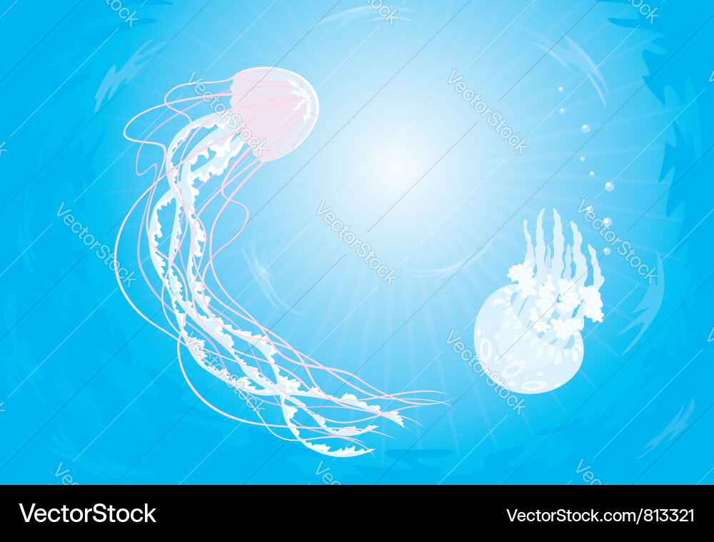 Sea background Royalty Free Vector Image - VectorStock