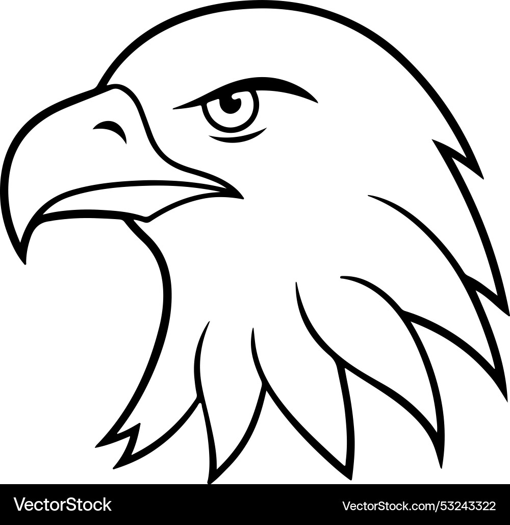 An eagles head Royalty Free Vector Image - VectorStock