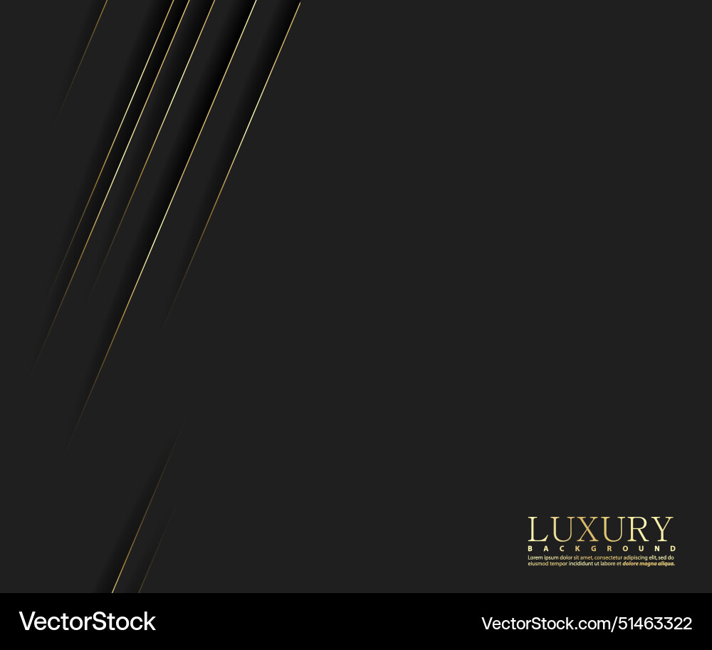 Premium background abstract luxury pattern gold Vector Image