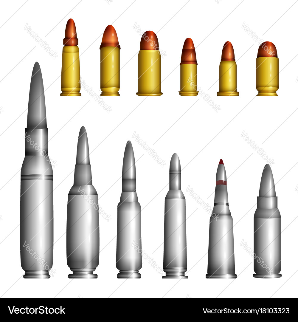 Bullet casings - modern realistic isolated Vector Image