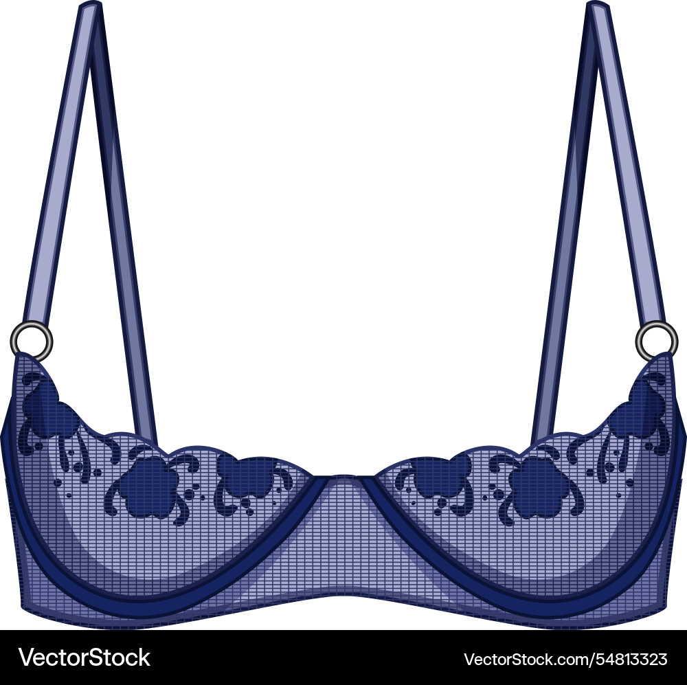Elegance bra lace cartoon Royalty Free Vector Image