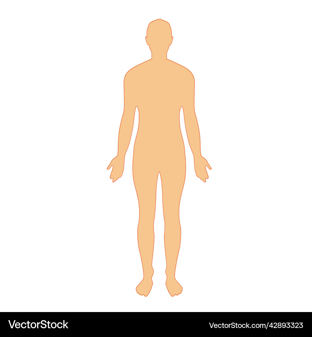 Human body man high quality Royalty Free Vector Image
