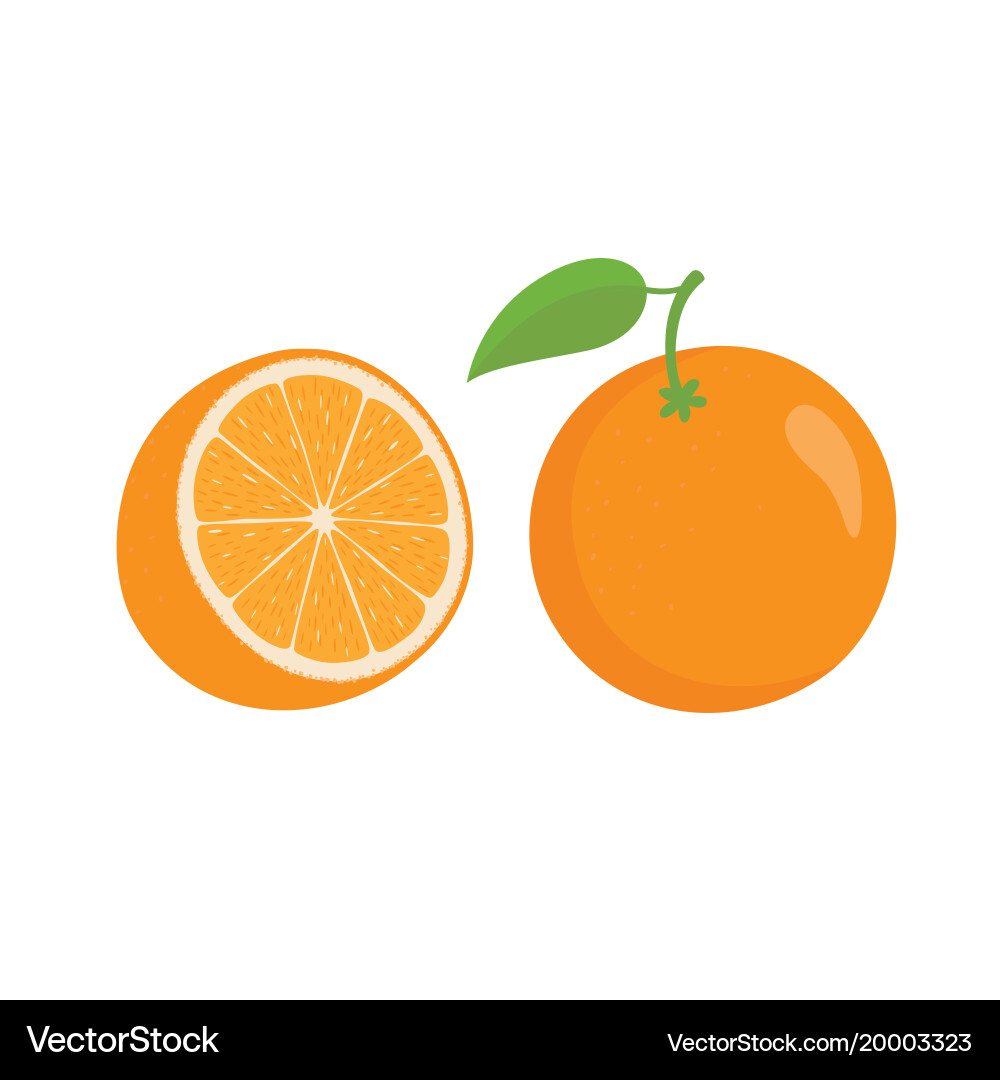 Ripe Orange Slice Royalty Free Vector Image - VectorStock