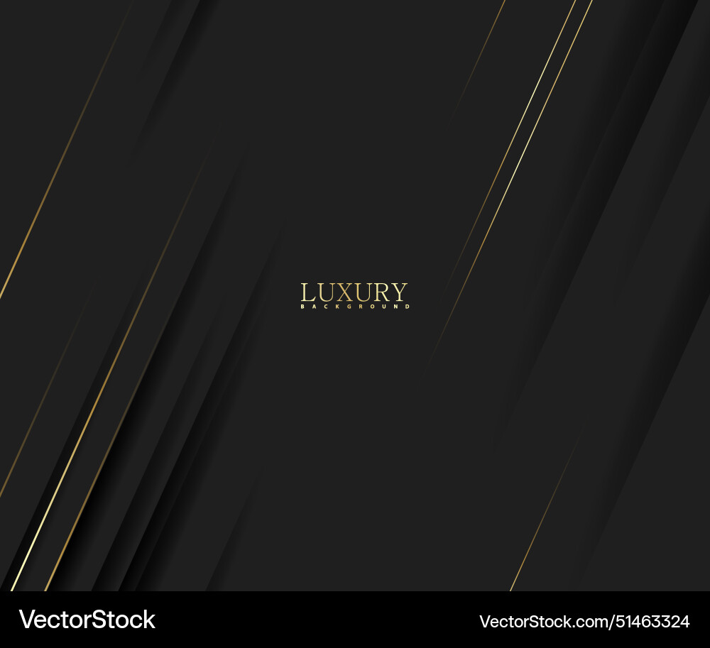 Premium background abstract luxury pattern gold Vector Image