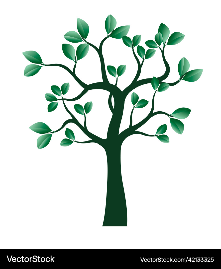 Green spring tree Royalty Free Vector Image - VectorStock