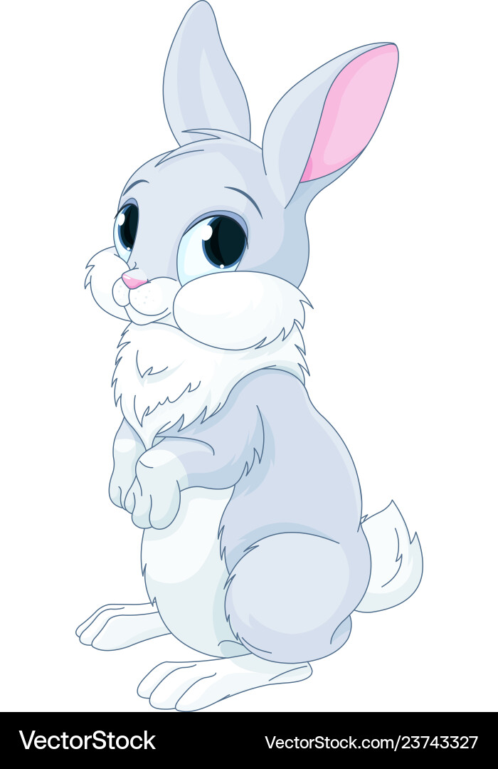Cute White Bunny Cartoon Royalty Free Vector Image