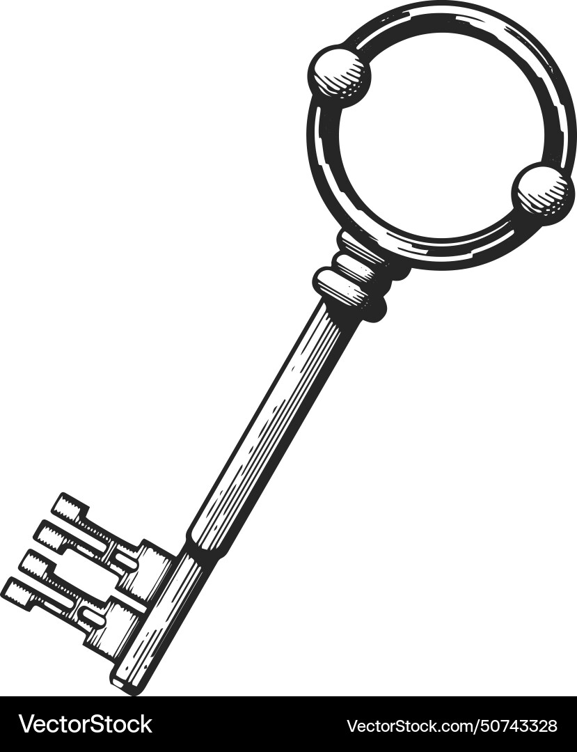 Old key engraving antique metal chave drawing Vector Image