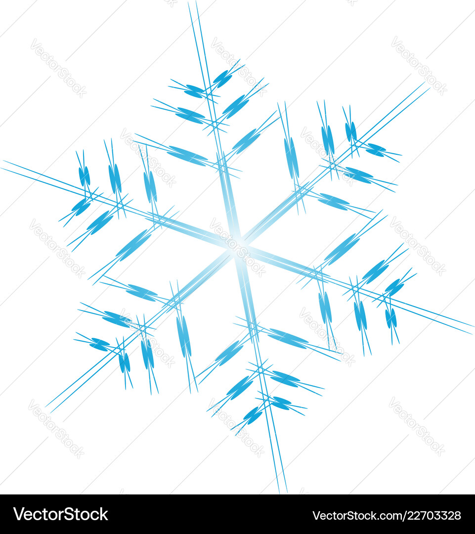 Snowflake ornate Royalty Free Vector Image - VectorStock