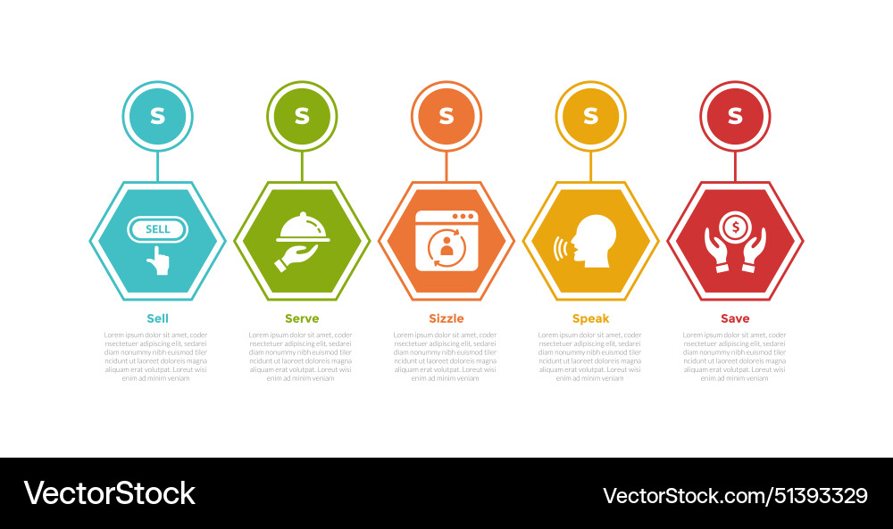 5s model marketing infographics template diagram Vector Image