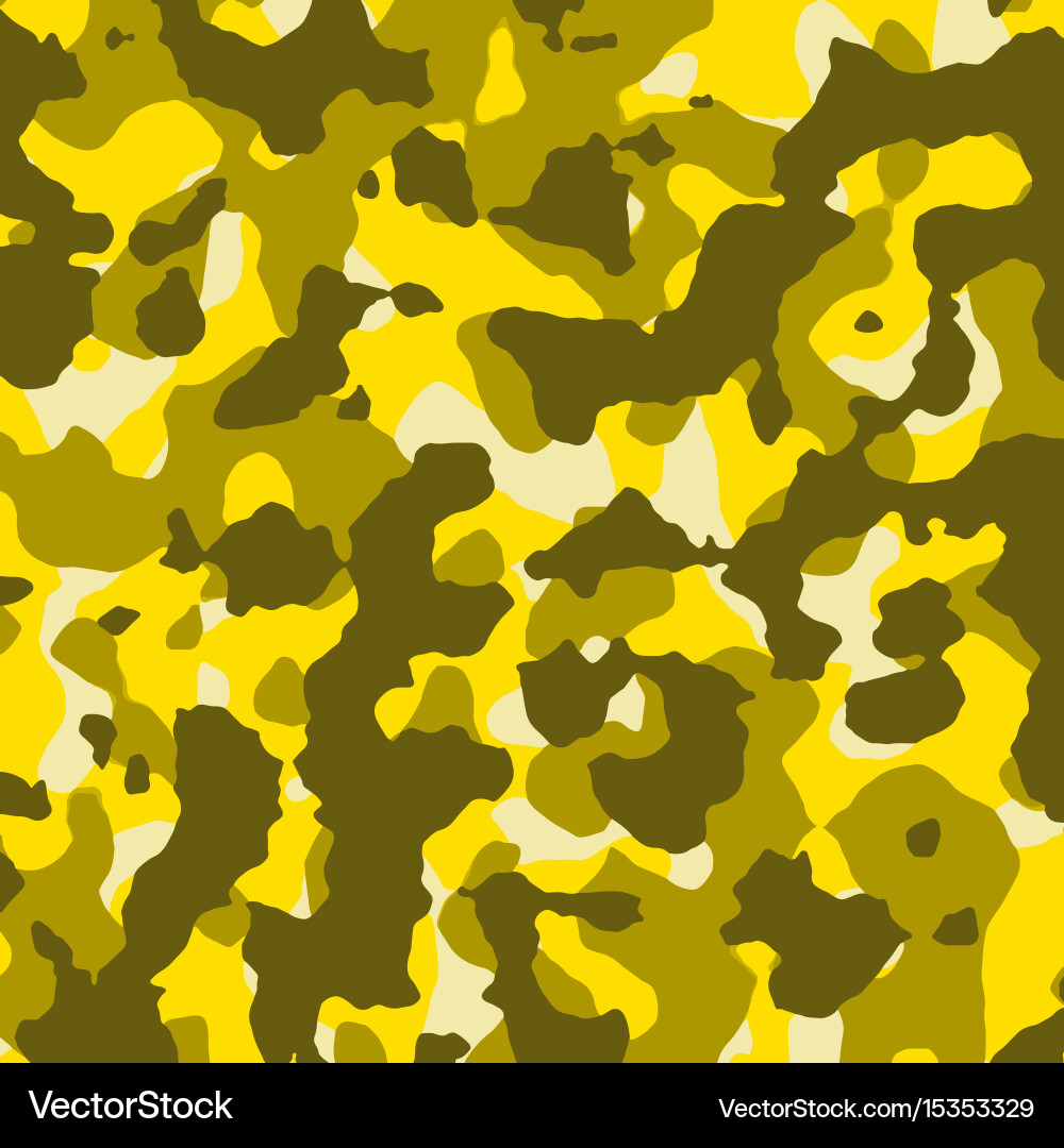 Camo Royalty Free Vector Image - VectorStock