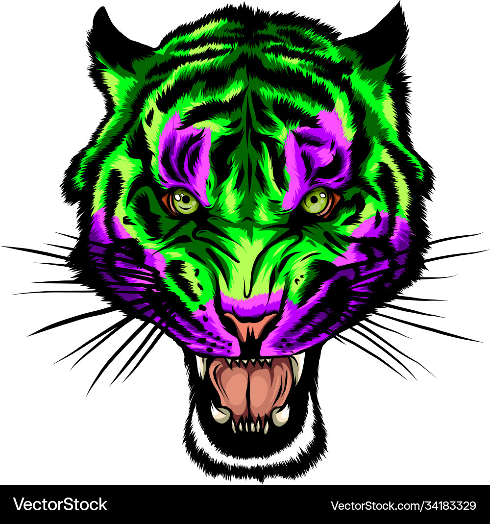 Color tiger tattoo Royalty Free Vector Image - VectorStock