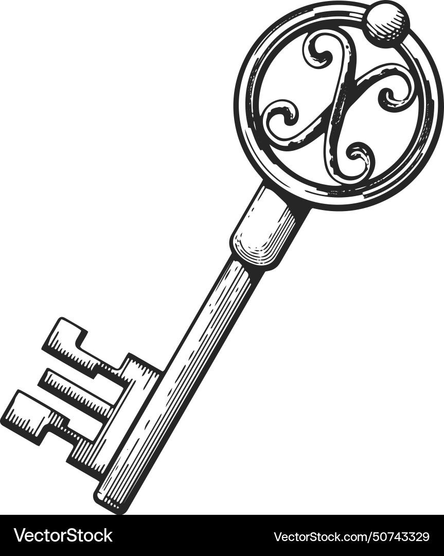 Skeleton Key Vector