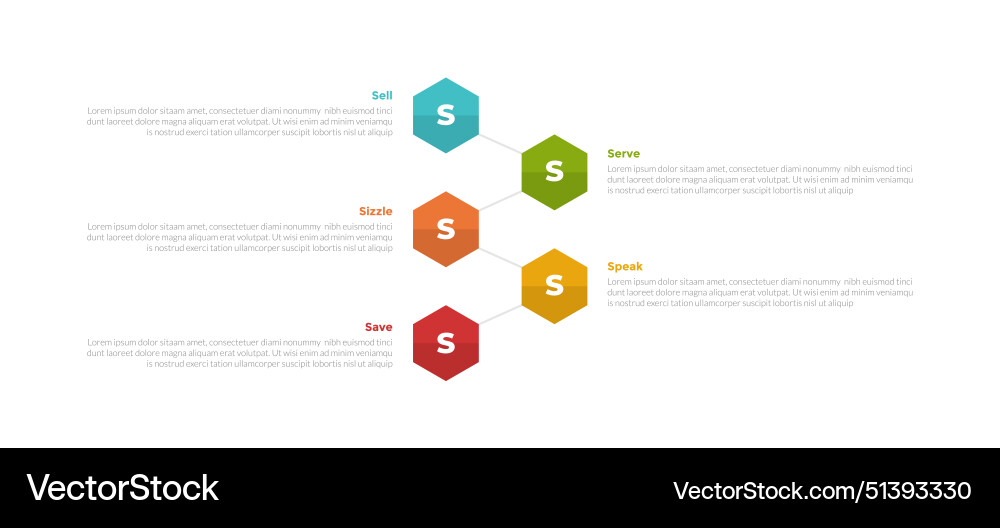 5s model marketing infographics template diagram Vector Image