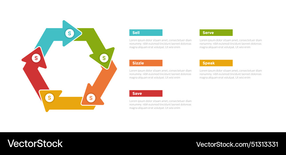 5s model marketing infographics template diagram Vector Image