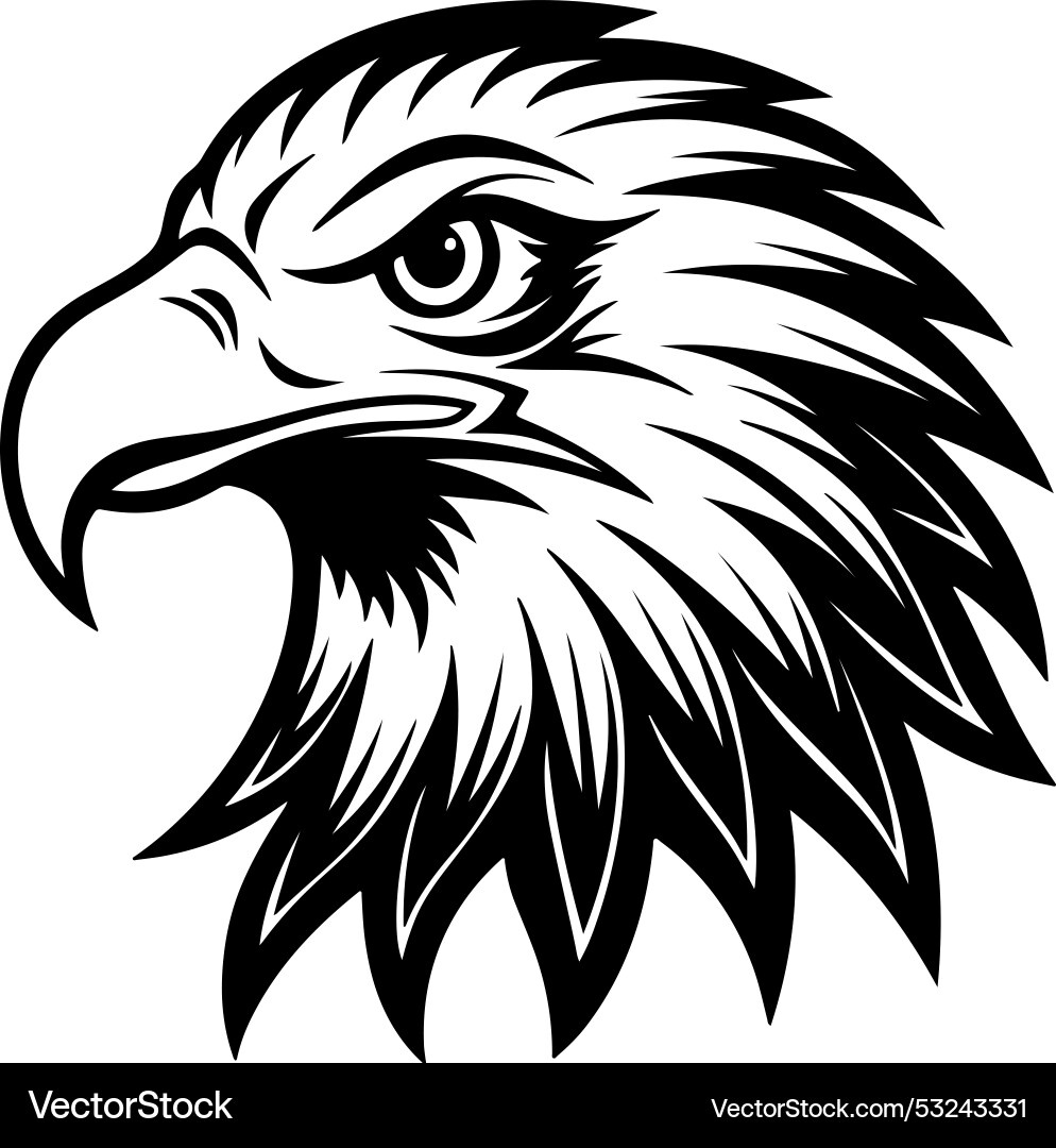 An eagles head Royalty Free Vector Image - VectorStock