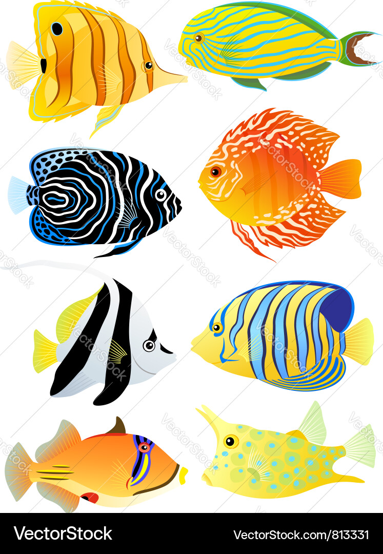 Collection of tropical fish Royalty Free Vector Image