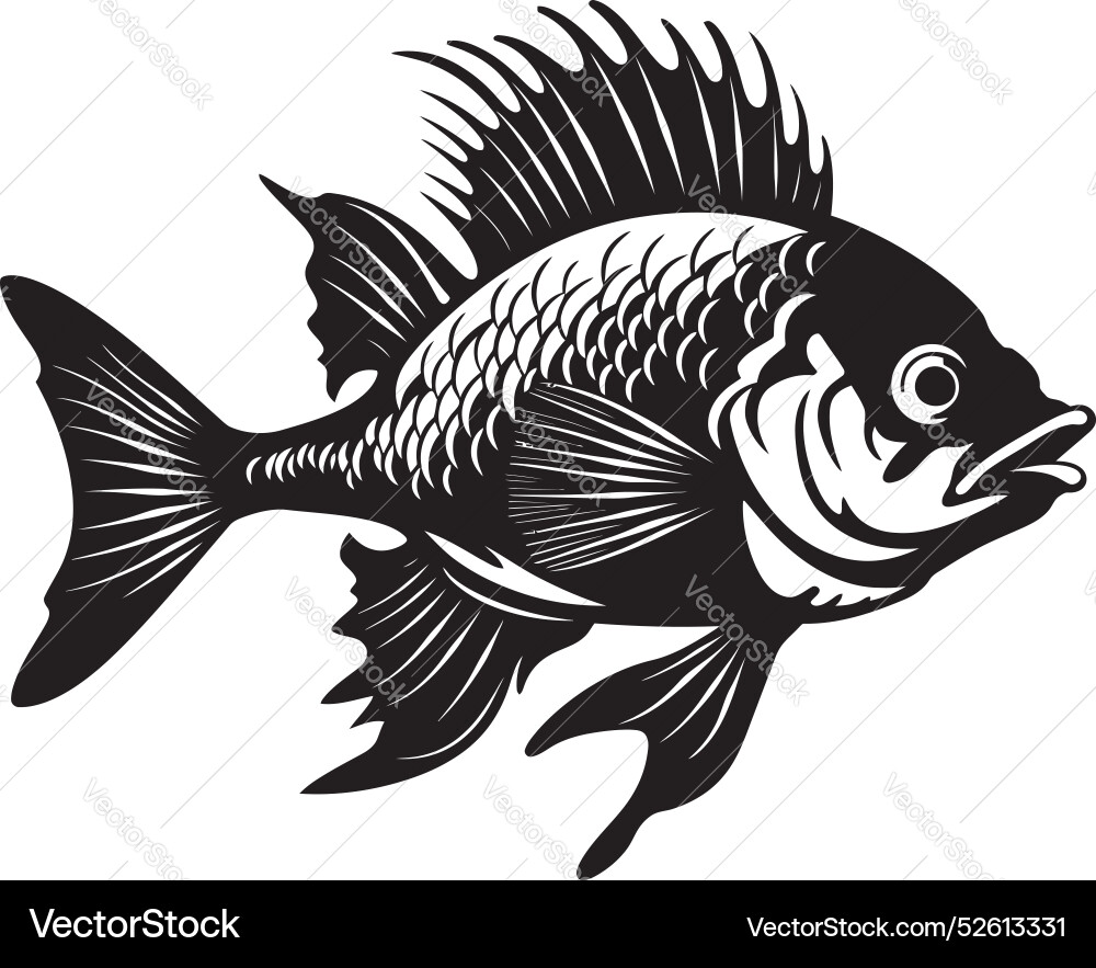 Streamside splendor tropical river fish outline Vector Image