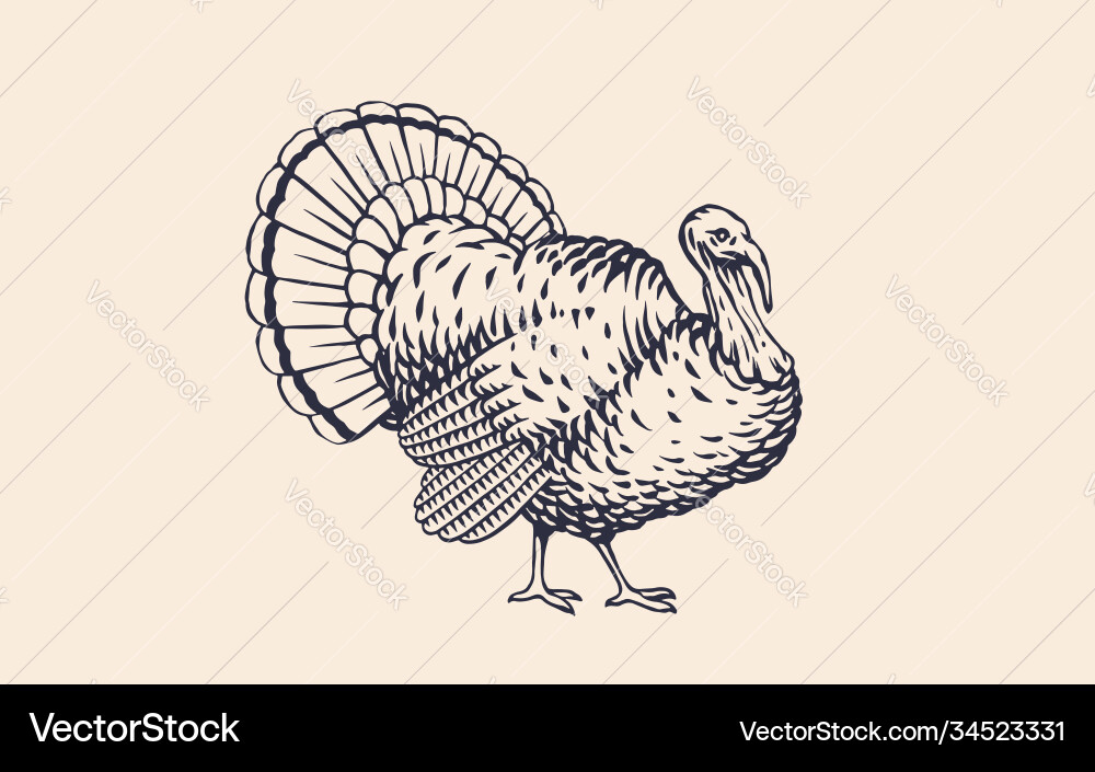 Turkey vintage retro print Royalty Free Vector Image