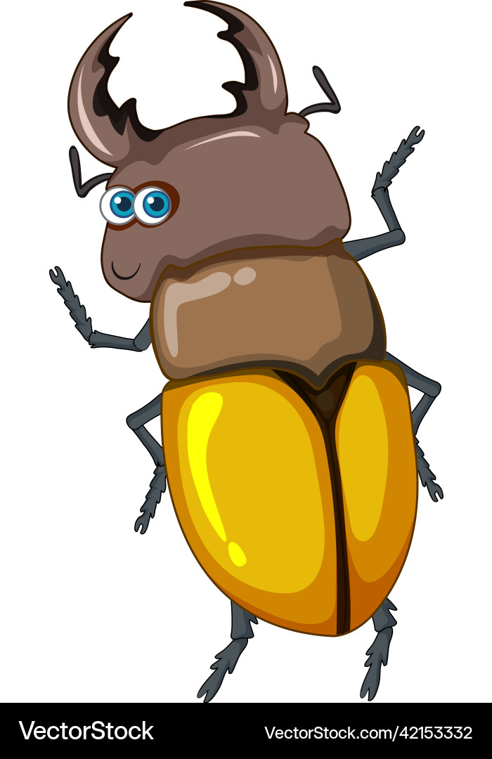 A beetle cartoon character isolated Royalty Free Vector
