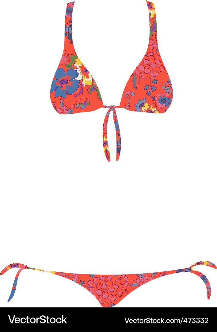 Colorful Women's Swimwear Royalty Free Vector Image
