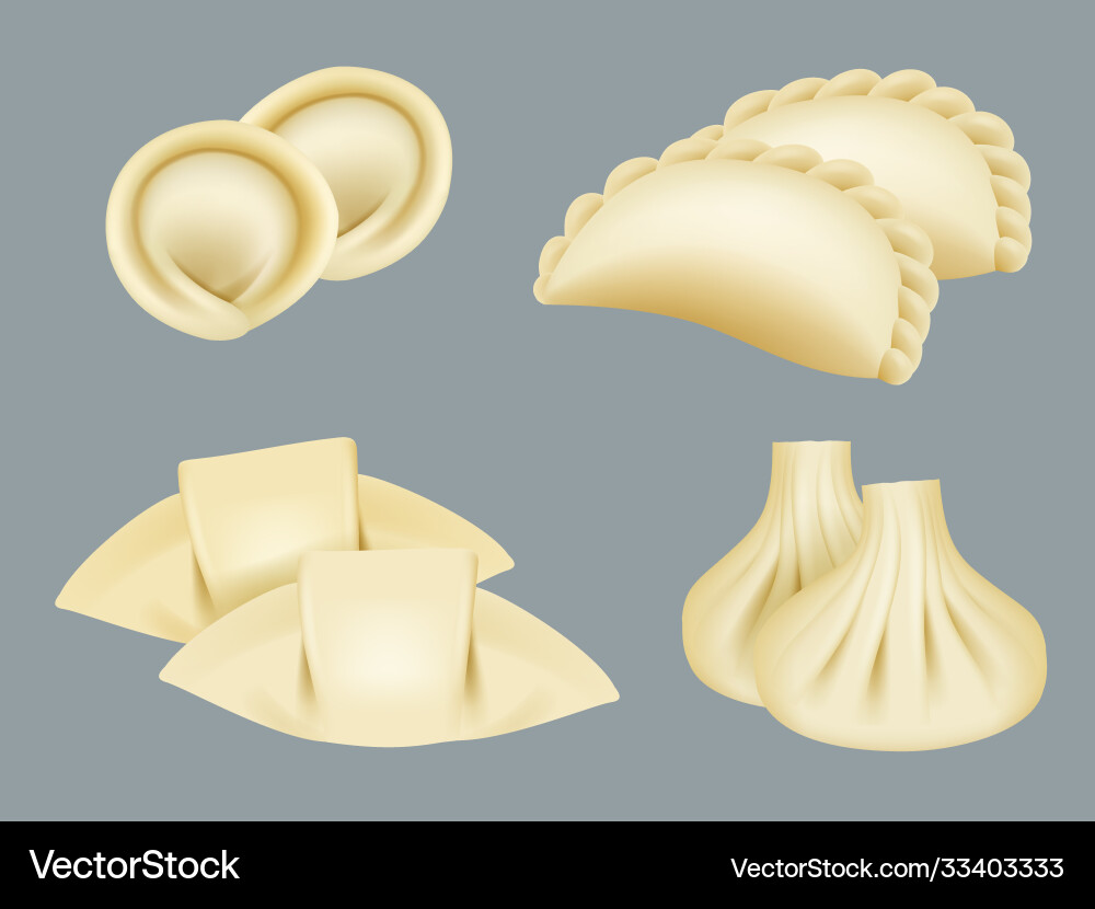 Asian Dumplings Collection Royalty Free Vector Image