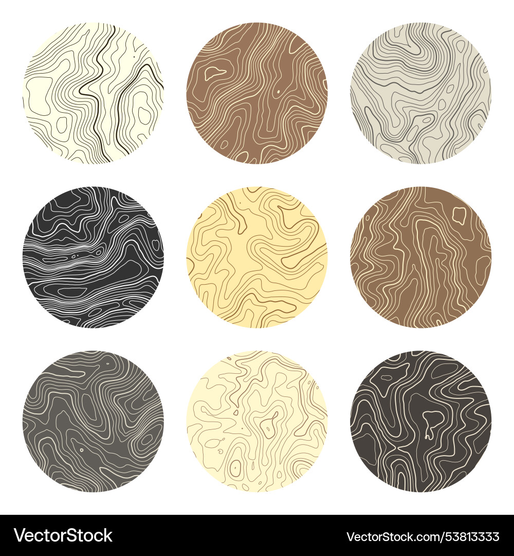 Colorful topographic map with contour lines Vector Image