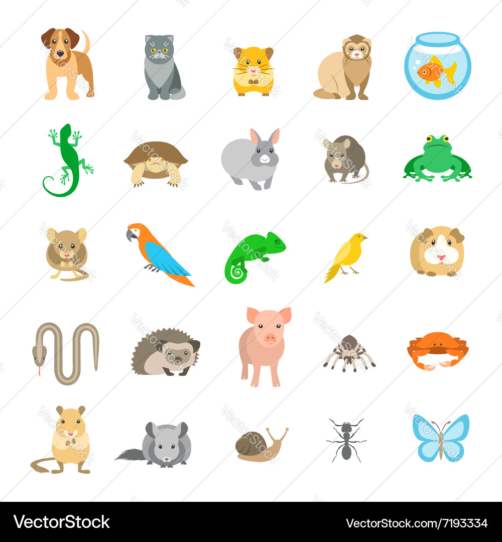 Animals pets flat colorful icons set Royalty Free Vector