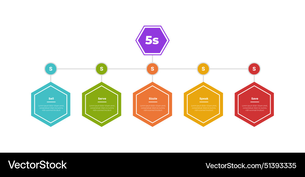5s model marketing infographics template diagram Vector Image