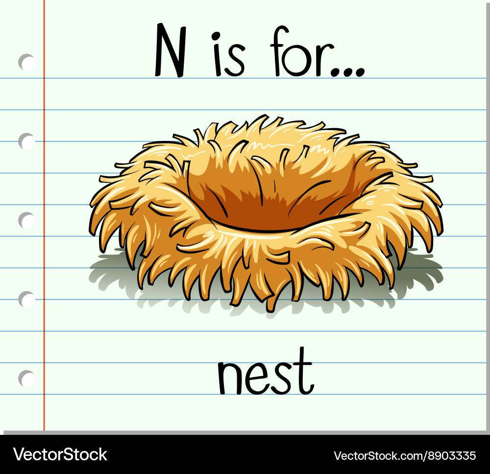 Flashcard letter n is for nest Royalty Free Vector Image