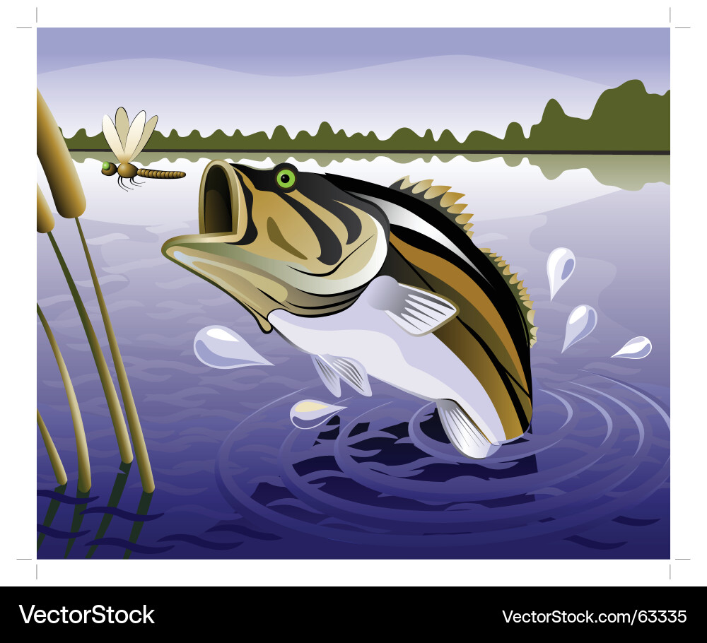 Fresh water fish Royalty Free Vector Image - VectorStock
