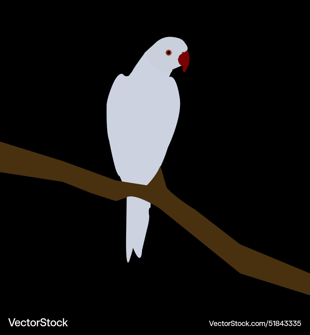 Parrot beautiful Royalty Free Vector Image - VectorStock