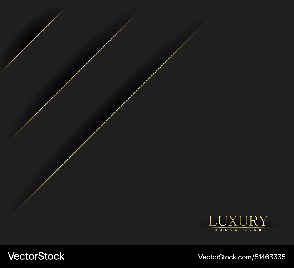 Premium background abstract luxury pattern gold Vector Image
