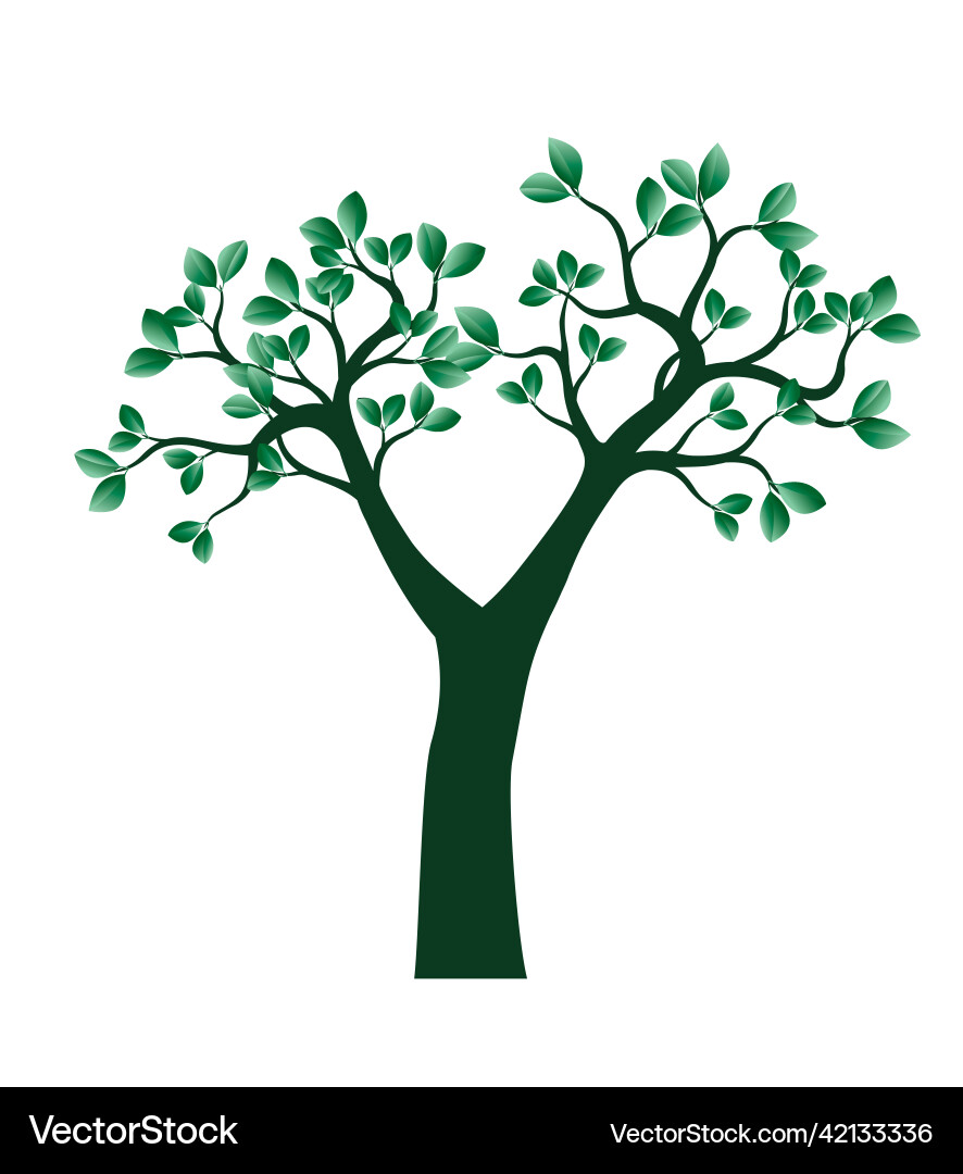 Green spring tree Royalty Free Vector Image - VectorStock