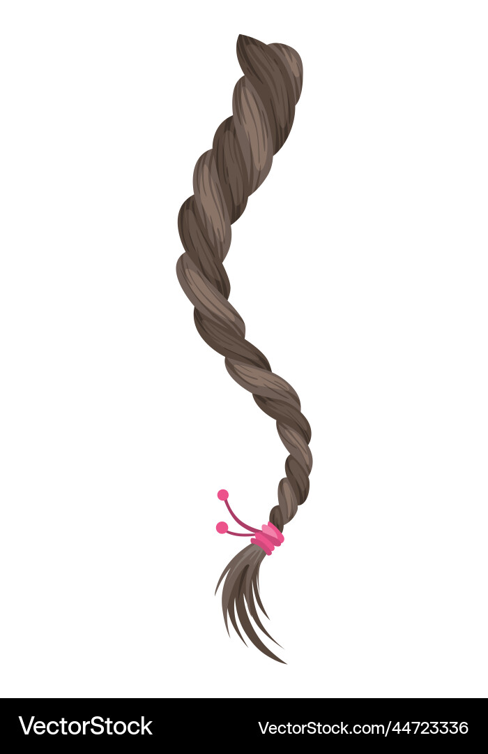 Long Female Hair Braid Royalty Free Vector Image