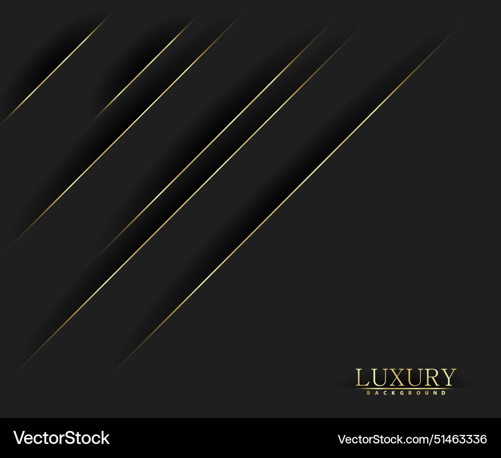 Premium background abstract luxury pattern gold Vector Image