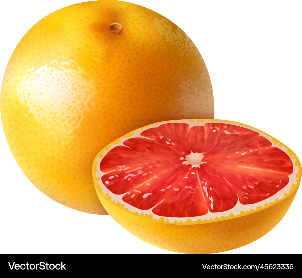 Realistic grapefruit Royalty Free Vector Image Realistic grapefruit Royalty Free Vector Image