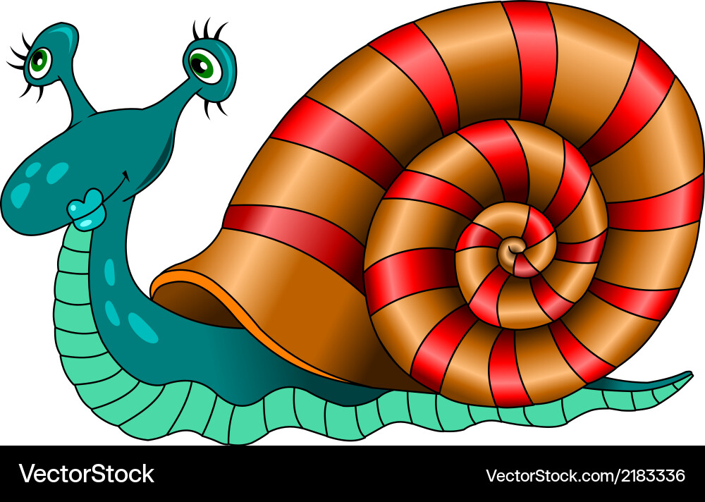 Snail cartoon Royalty Free Vector Image - VectorStock
