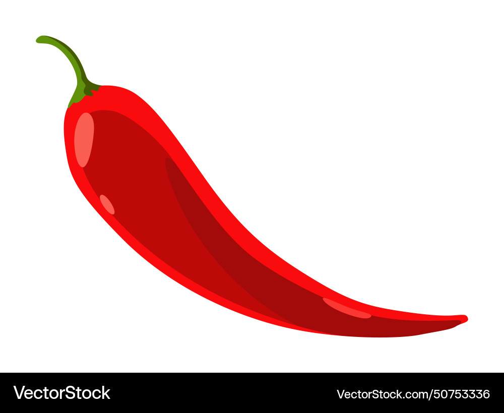 Taco ingredient red chilli pepper traditional Vector Image