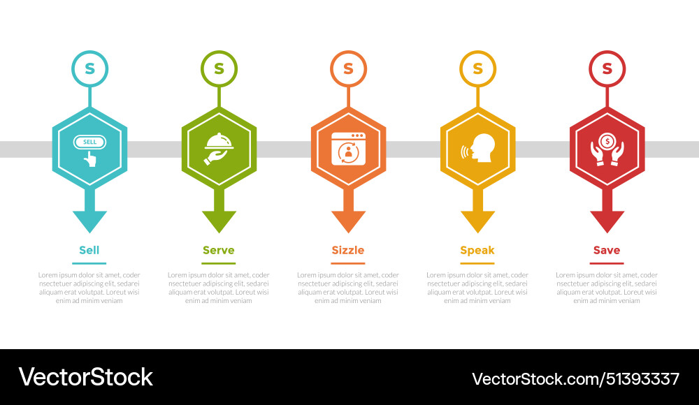 5s model marketing infographics template diagram Vector Image